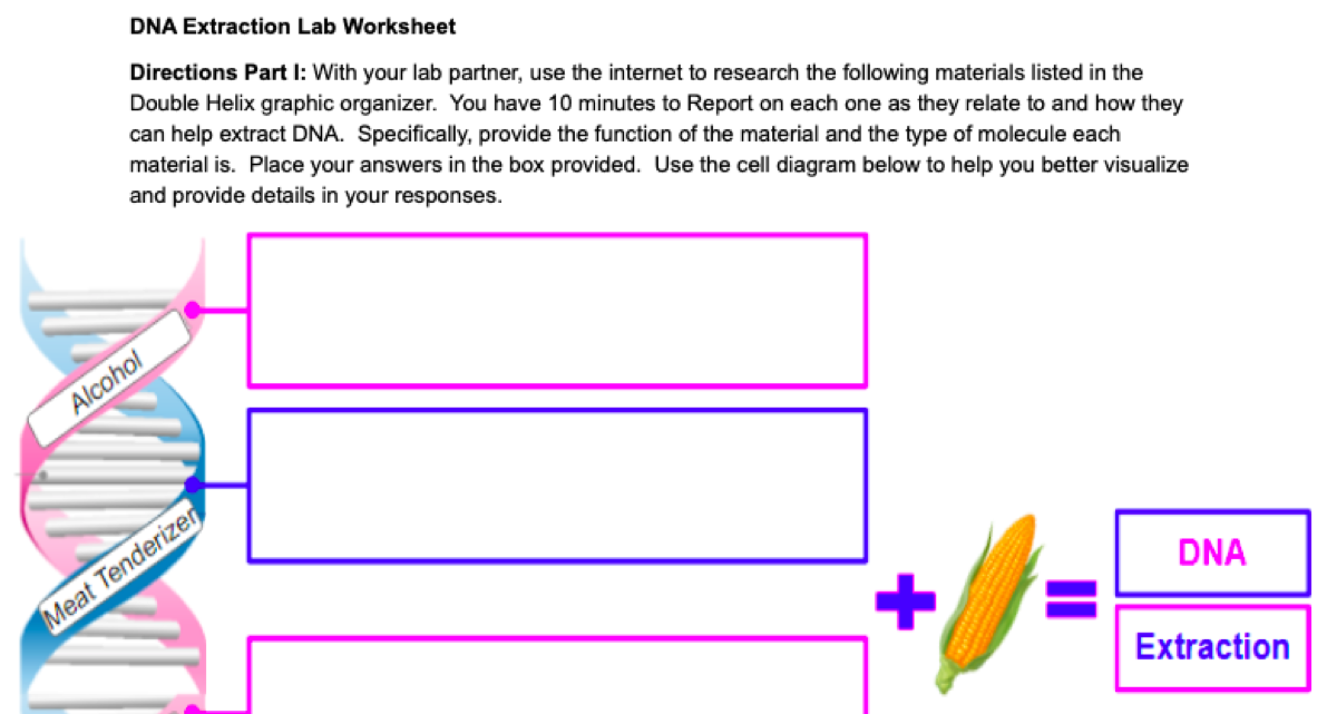 DNA extraction lab videos and more — Feed the World