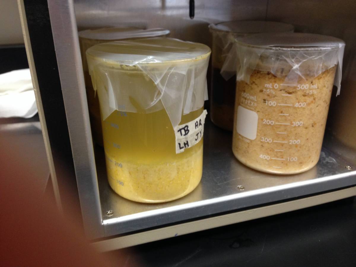 Ohio Corn & Wheat grant provides distillation equipment — Feed the World