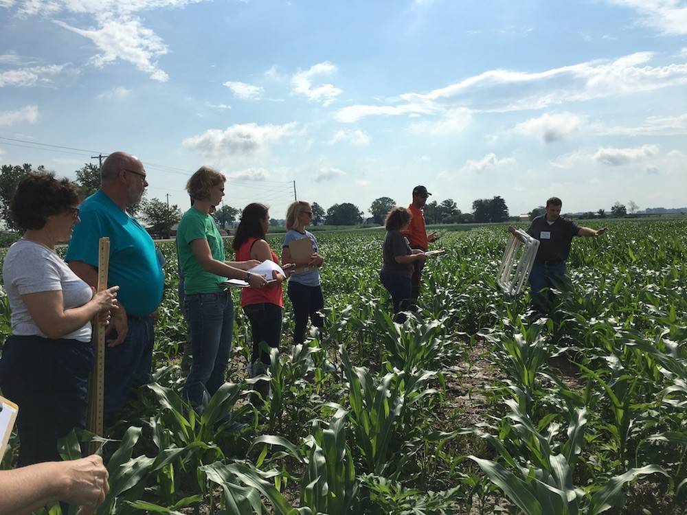Outstanding in the field! — Feed the World