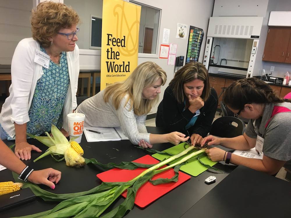 Springfield Feed the World workshop a great success! — Feed the World